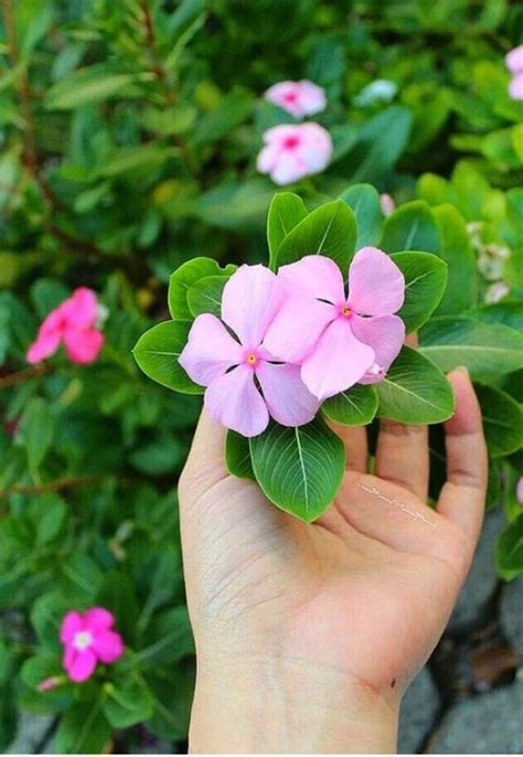 Sonam Shukla On Linkedin Goodvibesonly Growthmindset Surroundyourself Networking 13 Comments