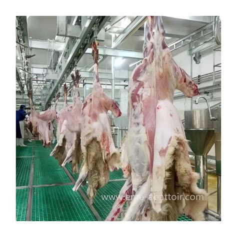 Completed Production Line Vertical Carcass Processing Convey Machine