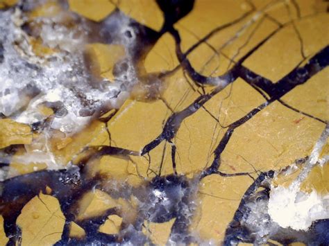 I Recently Got A Microscope And Im Obsessed With It R Geology