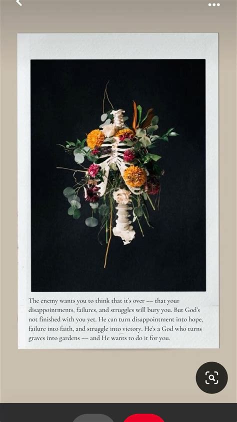 Elevation Worship Graves Into Gardens Cd Artofit