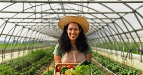 Bid Invest Colabora En La Emisión De Un Bono Sostenible De 134 Millones Del Bac Guatemala Infobae