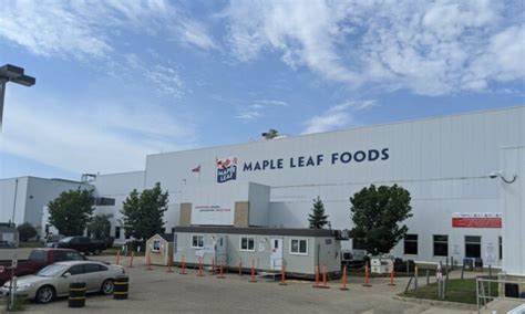 Maple Leaf Refutes Bread Price Fixing Claims Ahead Of Attempt To Add It