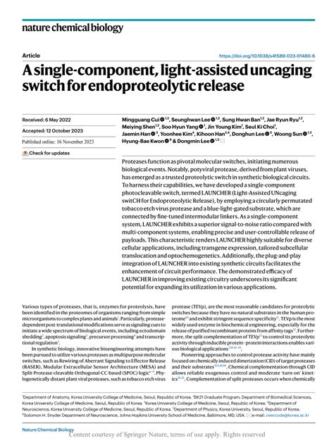 A Single Component Light Assisted Uncaging Switch For Endoproteolytic