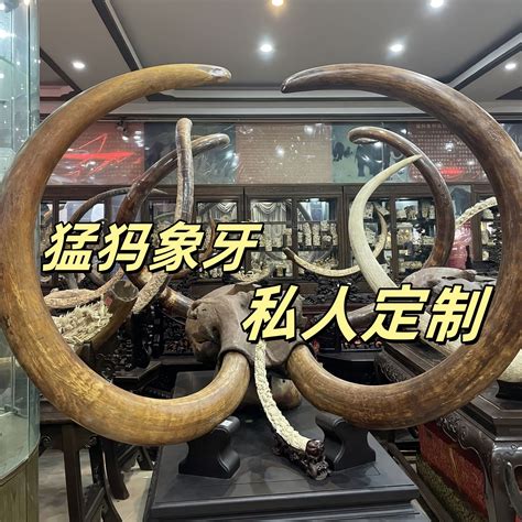 手工雕刻猛犸象牙印章：高端私人定制的艺术品，你值得拥有的佛珠手串牌精工冰料满纹天然订 牙雕 淘宝百科网