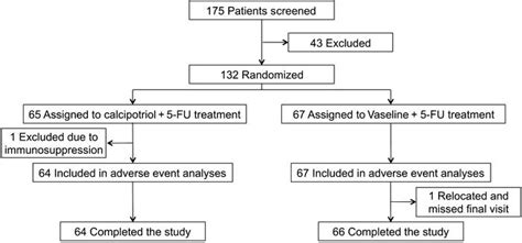Clinical Trial Data Flow Diagram