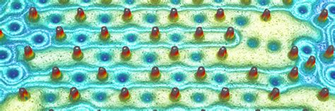 Sensofar Metrology Spectra Research Corporation