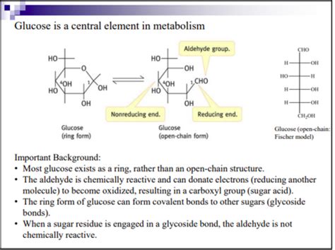 Chapter 13 Glucose Metabolism A Portion Was Taken From Glycolysis Flashcards Quizlet
