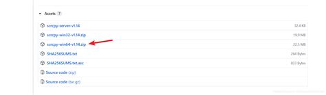 android投屏控制软件scrcpy scrcpy noconsole csdn博客