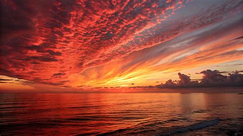 Peacock Elegance A Fusion Of Beauty And Geometry Background Peacock