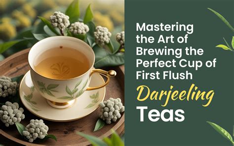 A Perfect Guide To Master Brewing First Flush Darjeeling Tea Golden Tips