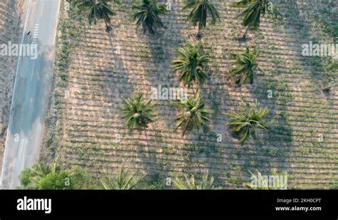 Wide Grass Field Stock Videos And Footage Hd And 4k Video Clips Alamy