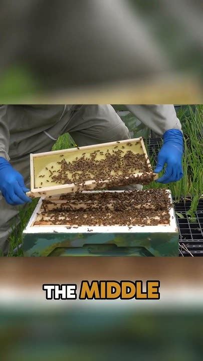 Checkerboarding In Action Youtube