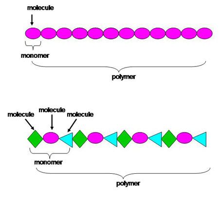 Polymers And Monomers Chart