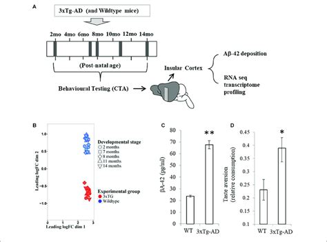 Experimental Groups And Expression Profile Clustering A Samples