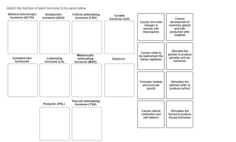 Solved Classify The Following Hormones Based On Where They