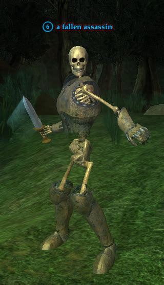 A Fallen Assassin Everquest 2 Wiki Fandom