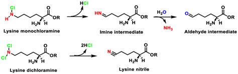 Decomposition Of Lysine Monochloramide With Formation Of Aldehyde And