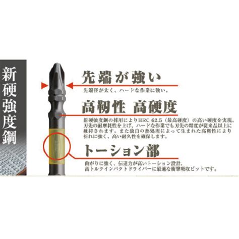 日本 Anex 安耐適 Abrm 重作業用黑龍靭起子頭 高硬度 雙頭 十字 起子頭 Light Way工具袋工房