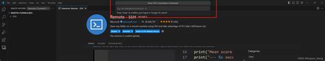 Vs Code 远程连接 Ssh 服务器