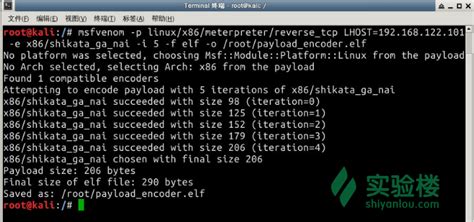 5个项目带你入门渗透测试 知乎