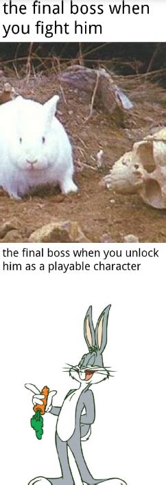 Killer Rabbit Memes