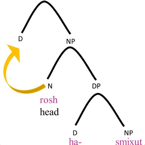 The Syntactic Structure Of Hebrew Csns Exemplified With The Csn Rosh
