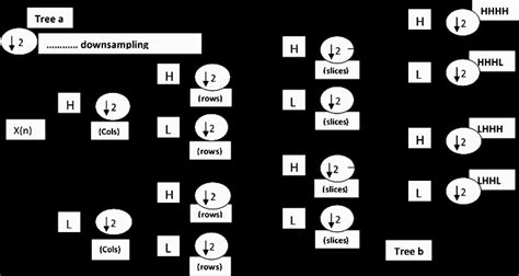 The 1 D Dual Tree Complex Wavelet Transforms Download Scientific Diagram