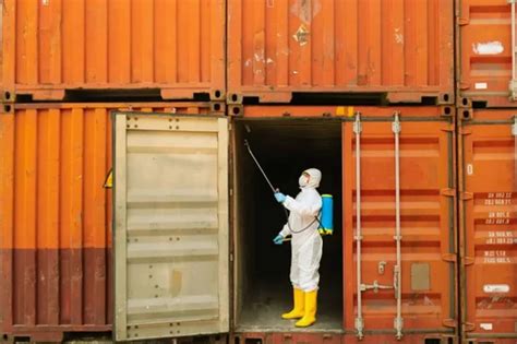 Export Container Fumigation Services In Pune Id 2851219550848