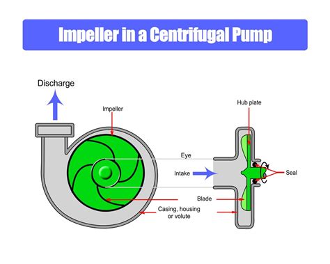 All Pump Impeller Types Selection Features Applications