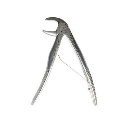 Oracraft Pedodontic Extraction Forceps Standard Online At Best Price
