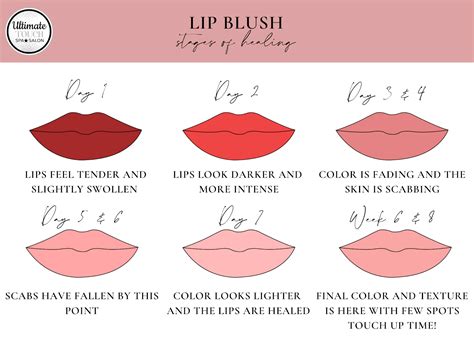 Your Zodiac Sign Your Lip Shape 60 Photos