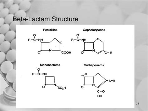 Beta Lactam Antibiotics Pptx
