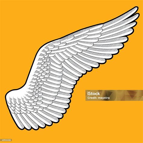 Drawing Of Birds Wing With Detailed Feathers On Orange Background Stock