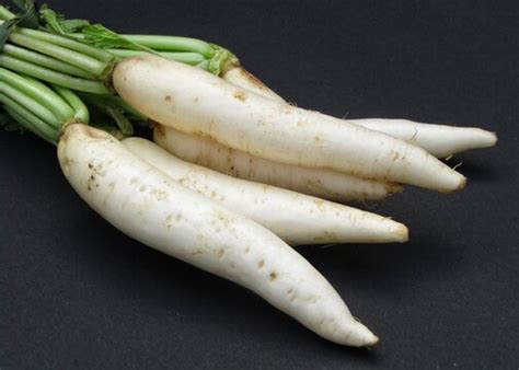 รูปภาพmooli เลือกดูภาพถ่ายสต็อก เวกเตอร์ และวิดีโอ575 Adobe Stock