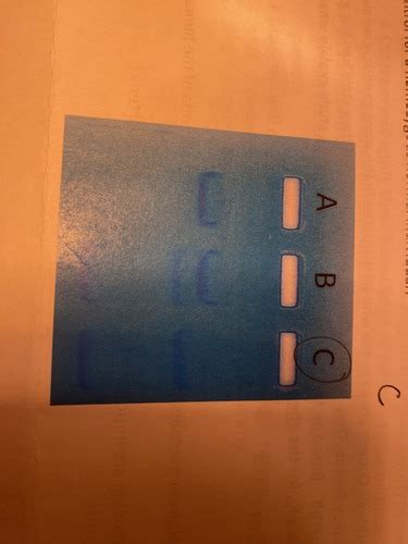 Practical 2 Bio Lab Flashcards Quizlet
