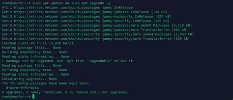 Host A Website On Vps Without Control Panel Using Nginx
