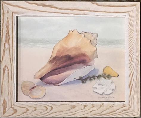 Barbara Fleri Print Of Seashells Mutualart