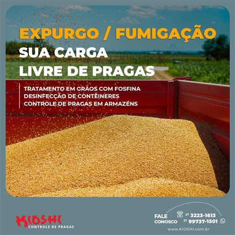 Kioshicontroledepragas Kioshi Pestcontrol Controledepragas