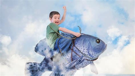 하늘에 물고기 떼” 가로수길에 나타난 파란색 물고기들의 정체 위키트리