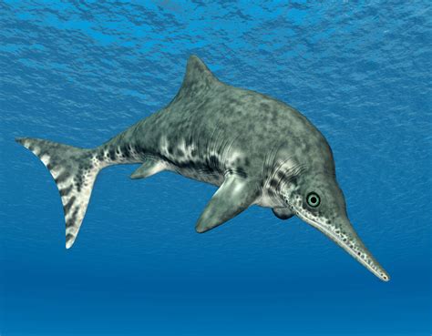 Ancient Ichthyosaur Died Right After Devouring Large Reptile