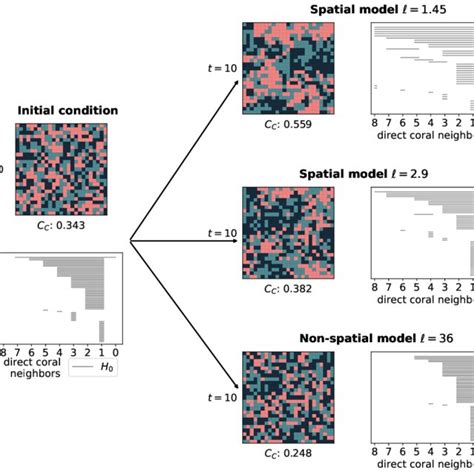 Stochastic Spatial Smhe Model Of A Coral Reef A Model Motivation Download Scientific Diagram