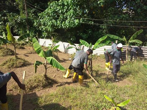 Esanda Wellala On Linkedin Battling Malnutrition With Able