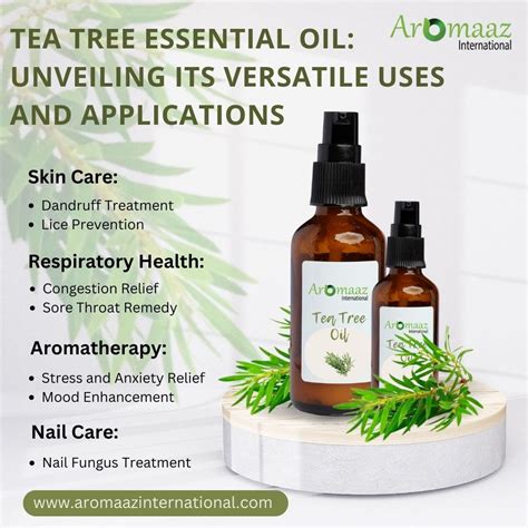 Tea Tree Oil Vs Essential Oil Understanding The Key Differences By Ee Medium