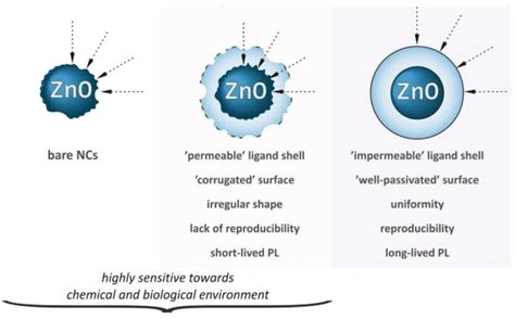 Schematic Representation Of Nanocrystal Ligand Interface Structure Of