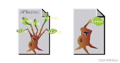【root From Cern】——到底什么是treecern Root文件 结构 Csdn博客