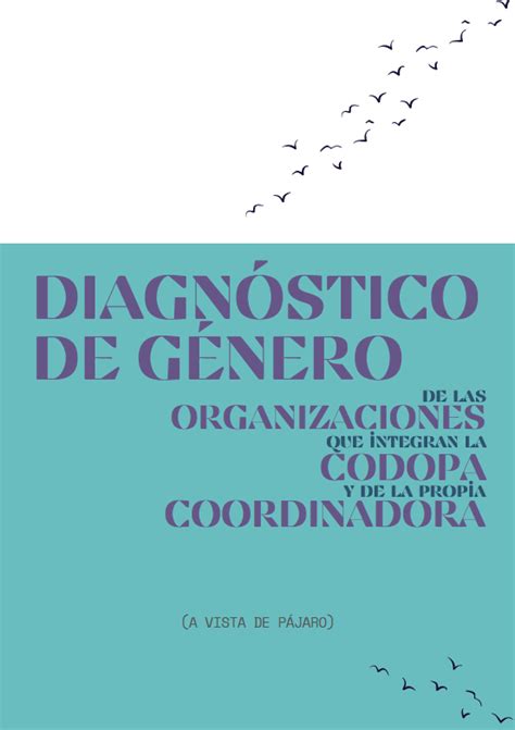 DiagnÓstico De GÉnero Codopa 2024