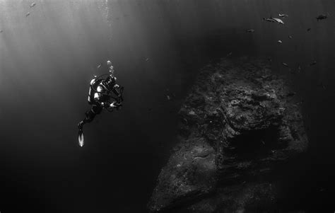 Scuba Diver Diver Diving Underwater Water Sea 4k Hd Wallpaper