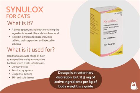 Synulox For Cats Dosage Uses And Side Effects