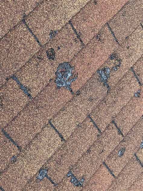 What Does Hail Damage Look Like On Asphalt Shingles