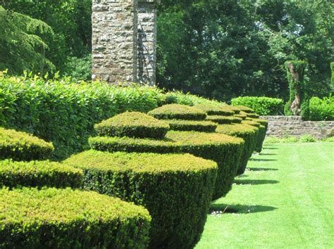 2025年1月instow旅游景点攻略 Instow旅游住宿 Instow旅游美食 猫途鹰